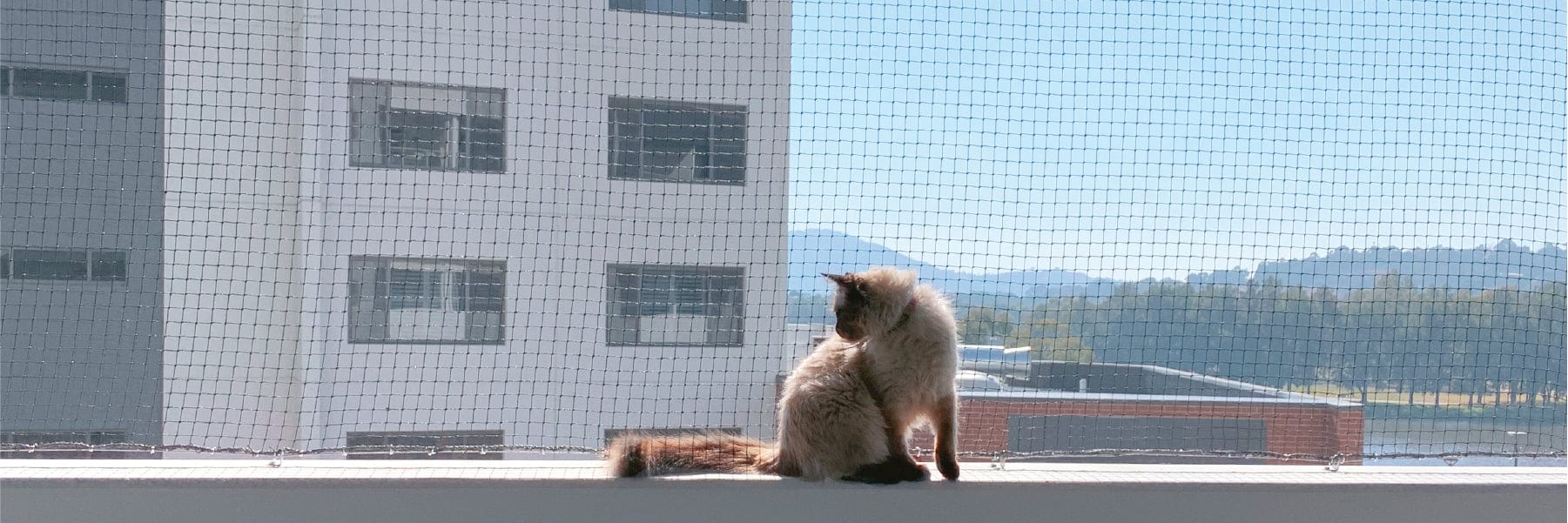 Catnets | Cat Netting, Cat Nets, Cat Runs, Cat Containment – Catnetting