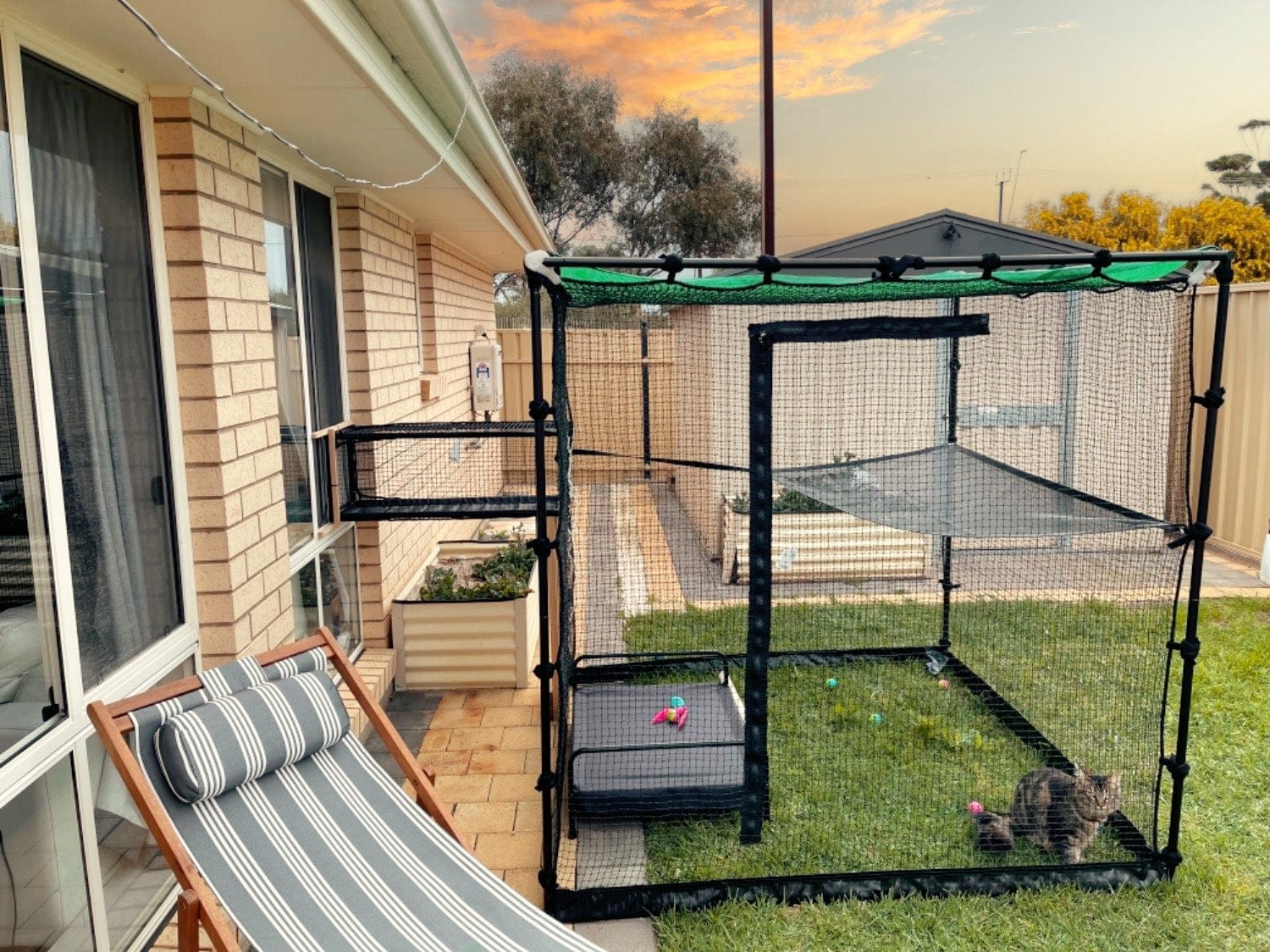 Gallery – Catnetting