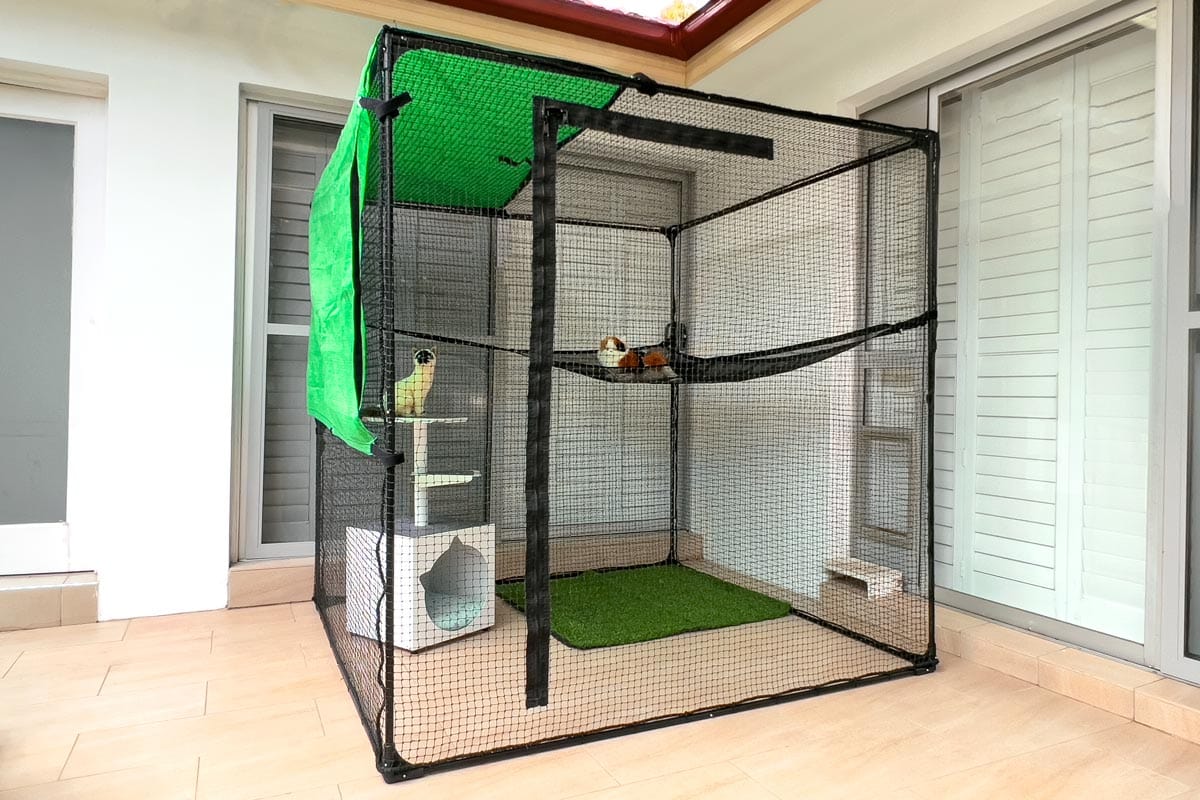 Cat Netting – Catnetting