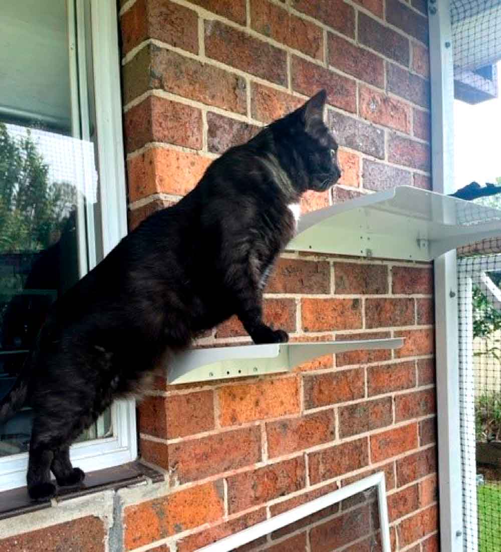 Carpeted Large Cat Climbing Platform - White – Catnetting