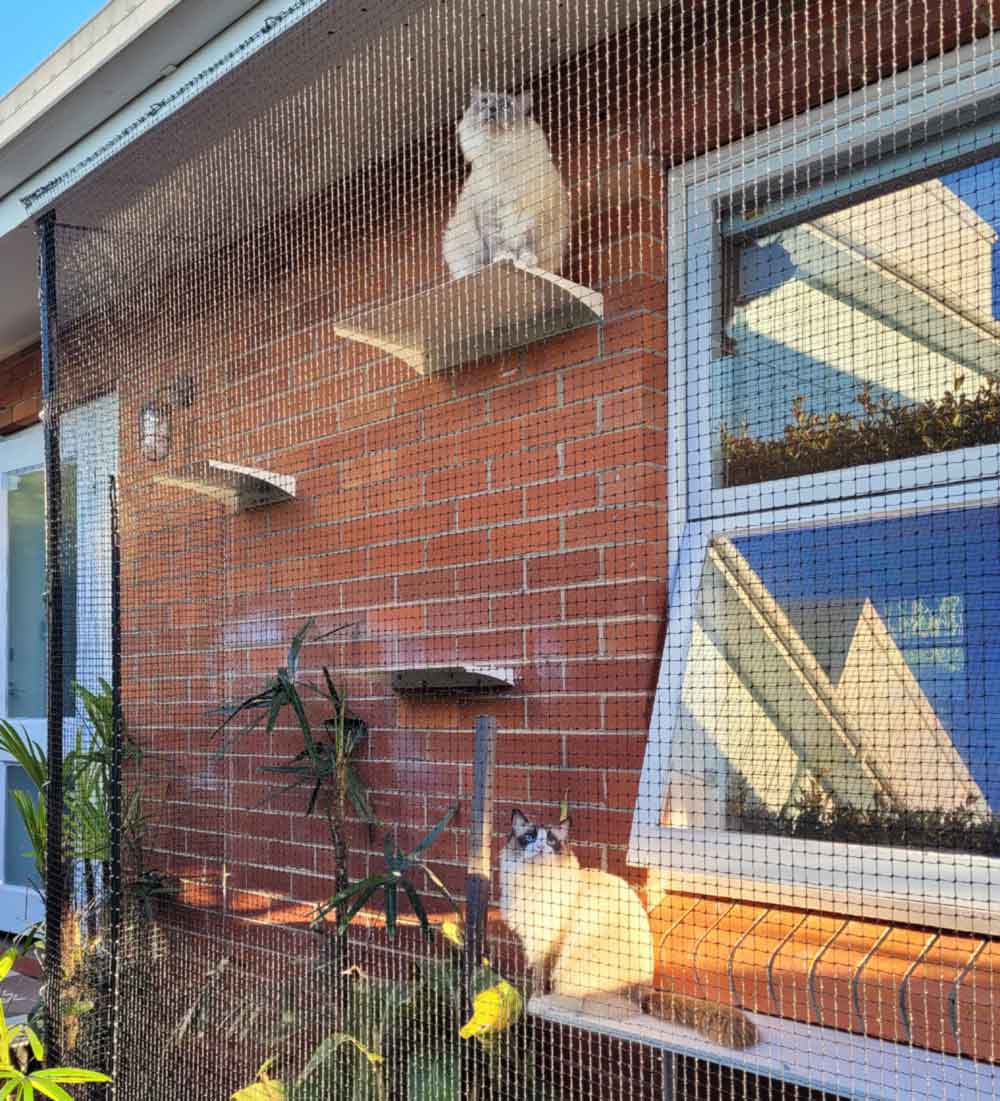 Carpeted Large Cat Climbing Platform - White – Catnetting