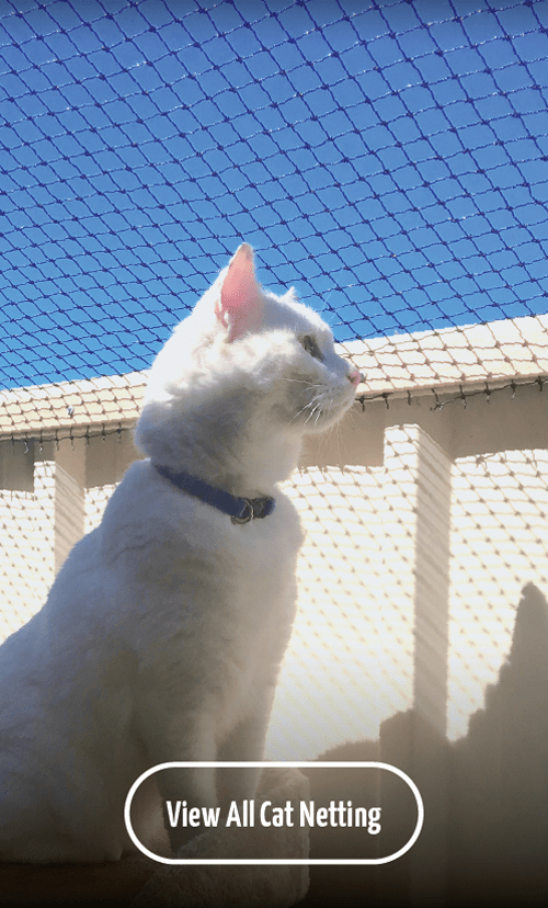 Cat Netting – Catnetting