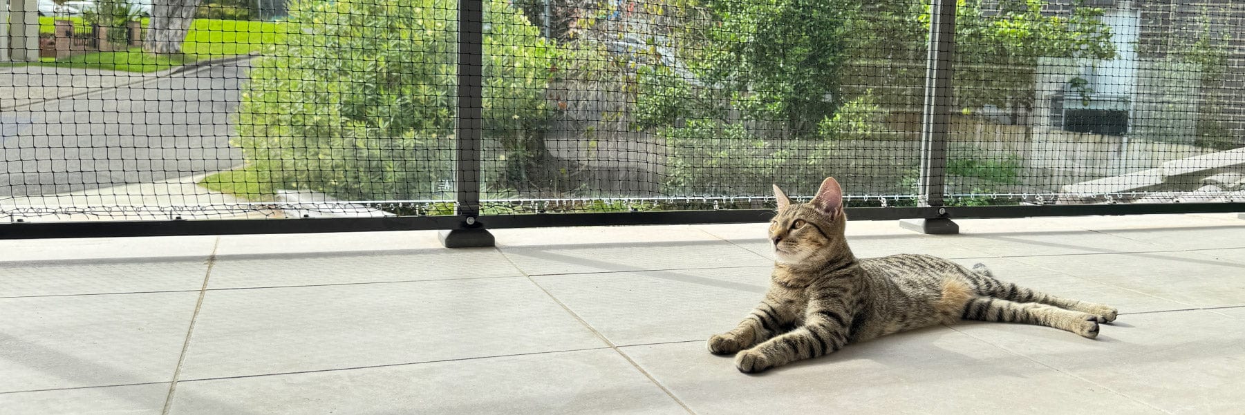 Catnets | Cat Netting, Cat Nets, Cat Runs, Cat Containment – Catnetting