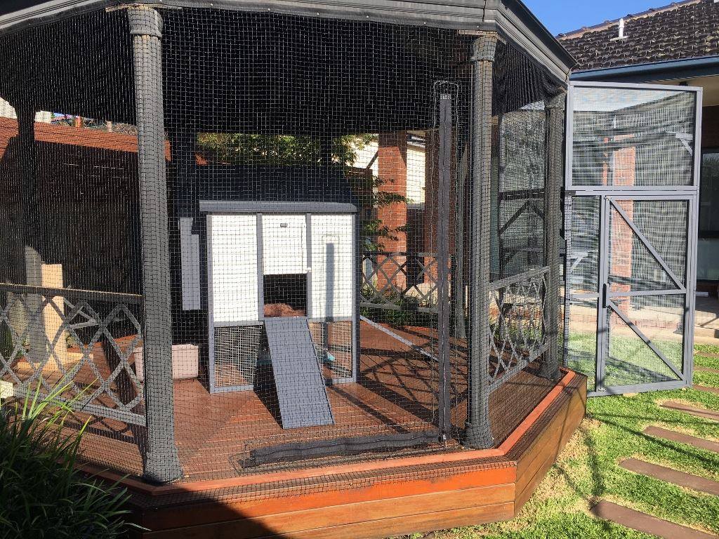 Stainless Reinforced Premium Cat Netting 6' x 17' – Catnetting