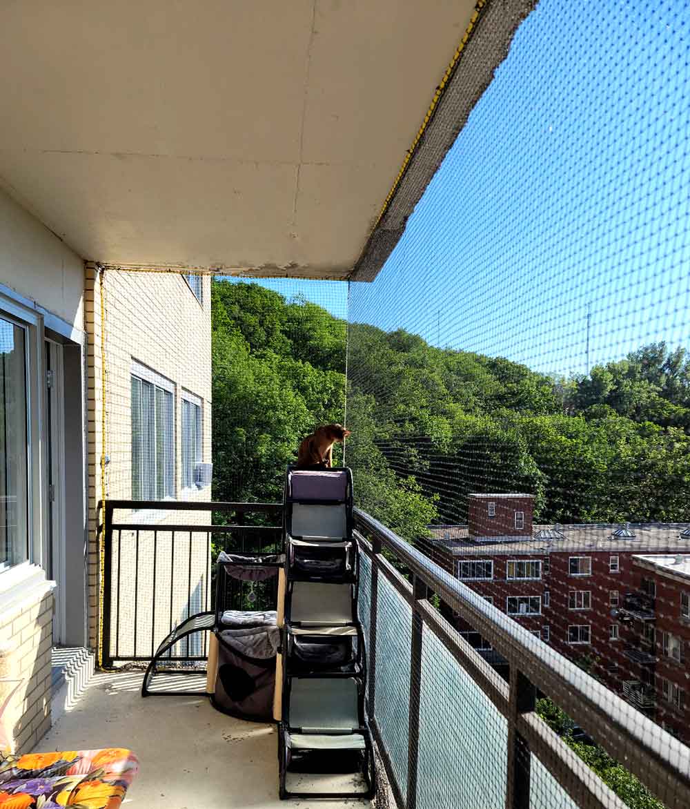 Cat Netting (by-the-foot) - Stone – Catnetting