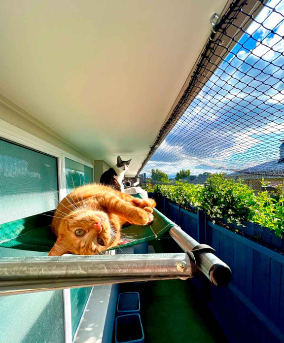 Premium Cat Netting W/ Stainless Steel (by-the-foot) – Catnetting