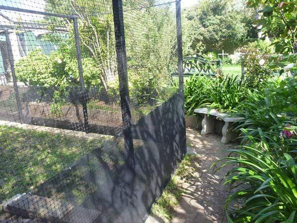 Paw Guard – Catnetting