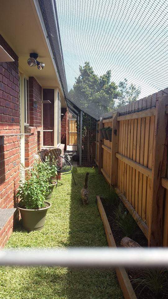 Cat Netting with Reinforced Edging 24' x 6' – Catnetting