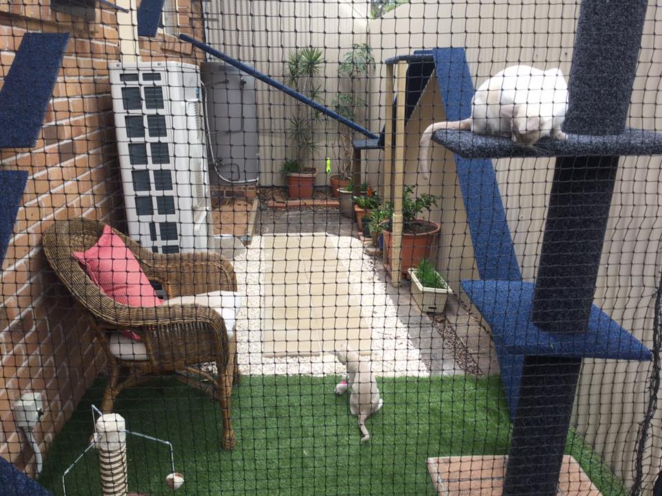 Cat Netting with Reinforced Edging 32' x 10' - Stone – Catnetting