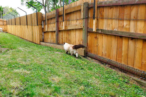 Angled Fence Extension bracket 10pk – Catnetting