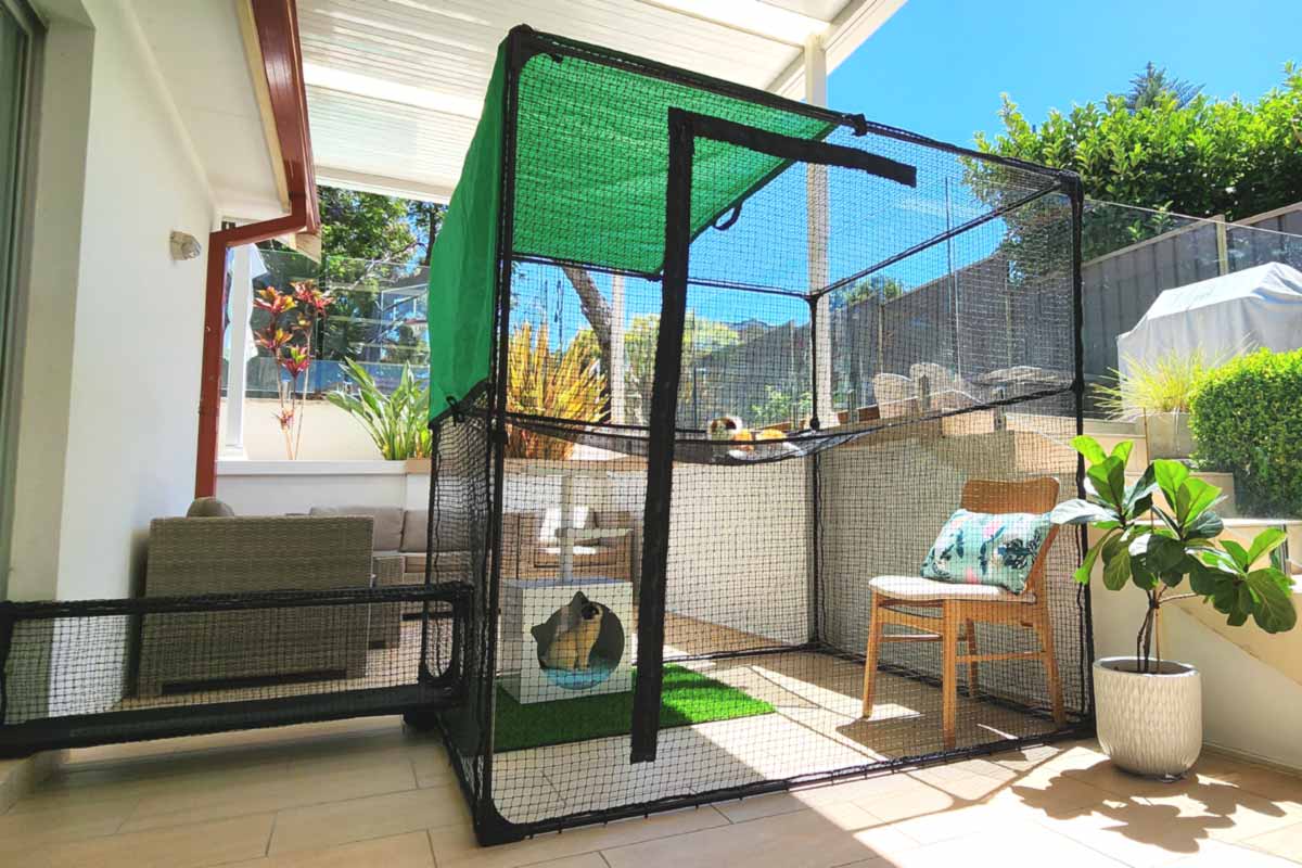 47” Cat Tunnel – Catnetting